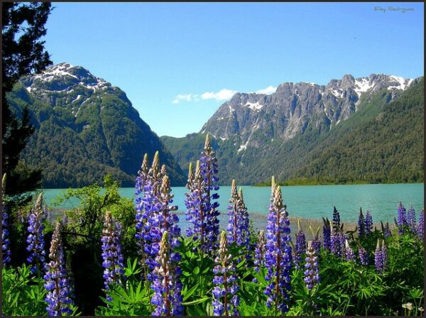 Puerto Blest - BARILOCHE TOP