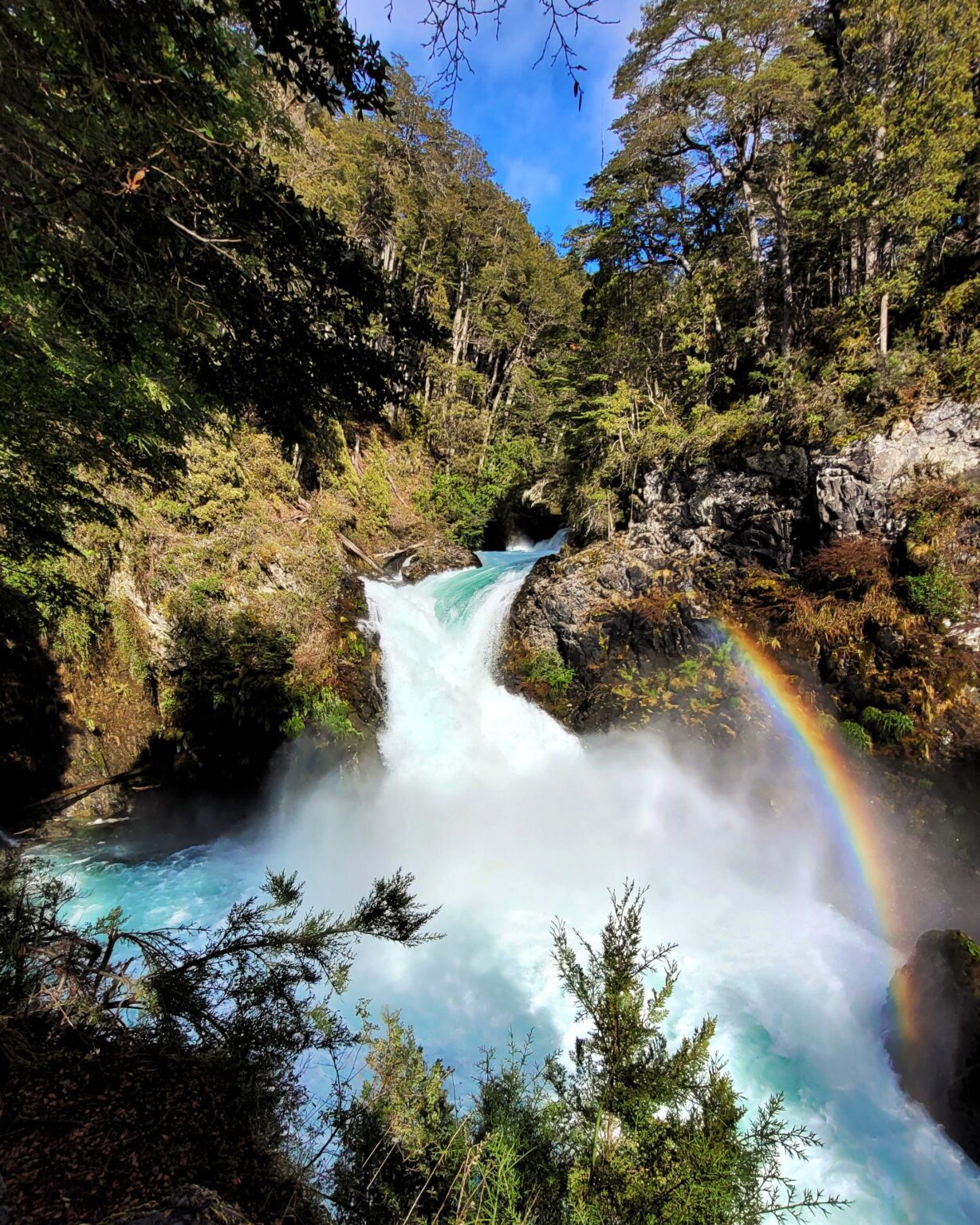Excursión a Cerro Tronador con cascada los Alerce ¡Imperdible!